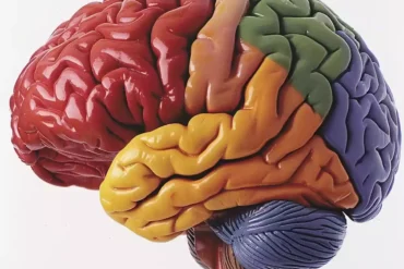 Φάρμακο Furolin: Παρενέργειες, Οδηγίες, Δοσολογία